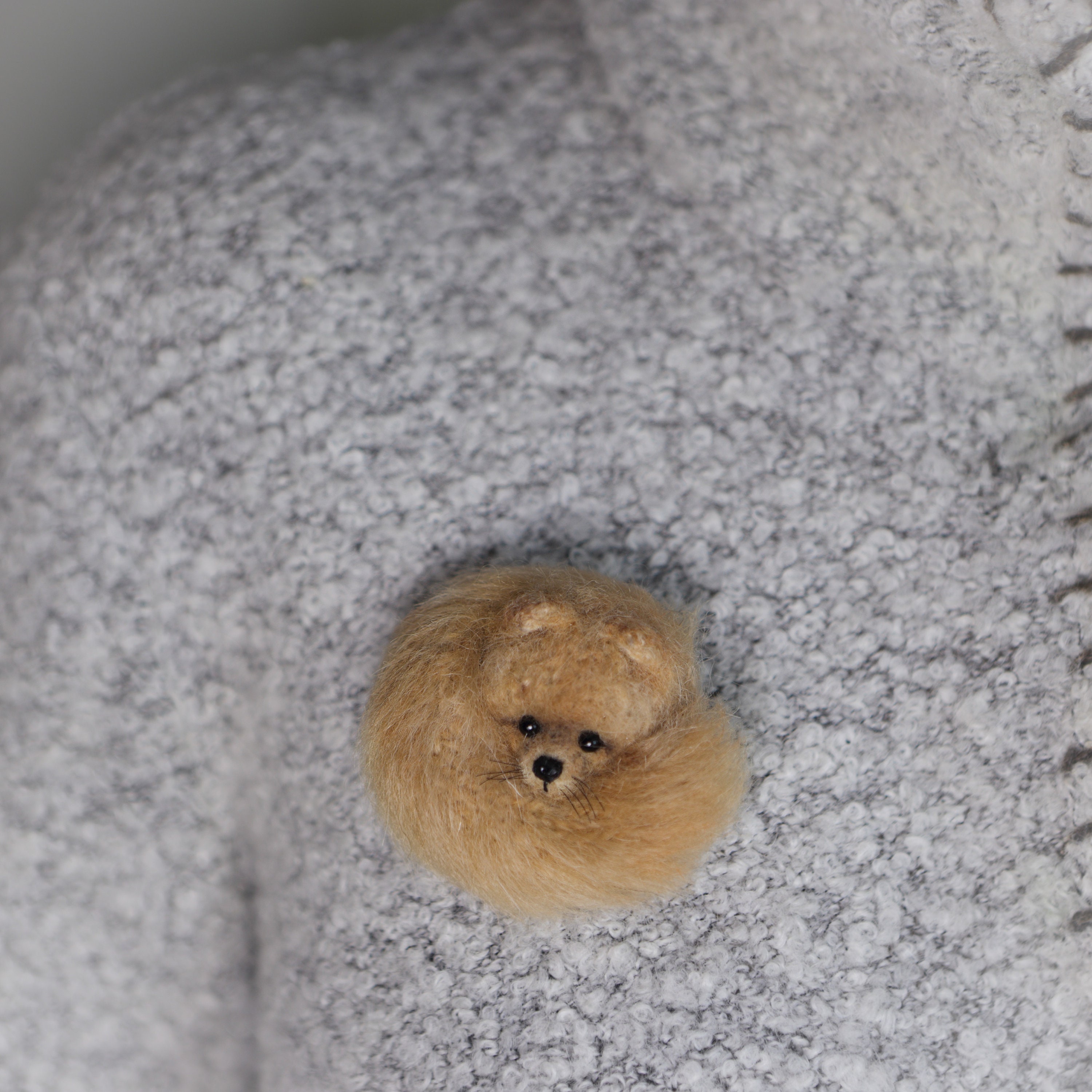 Pomeranian Dog Spitz Dog Dog Brooch Wool Pin Puppy Jewellery Dog ...
