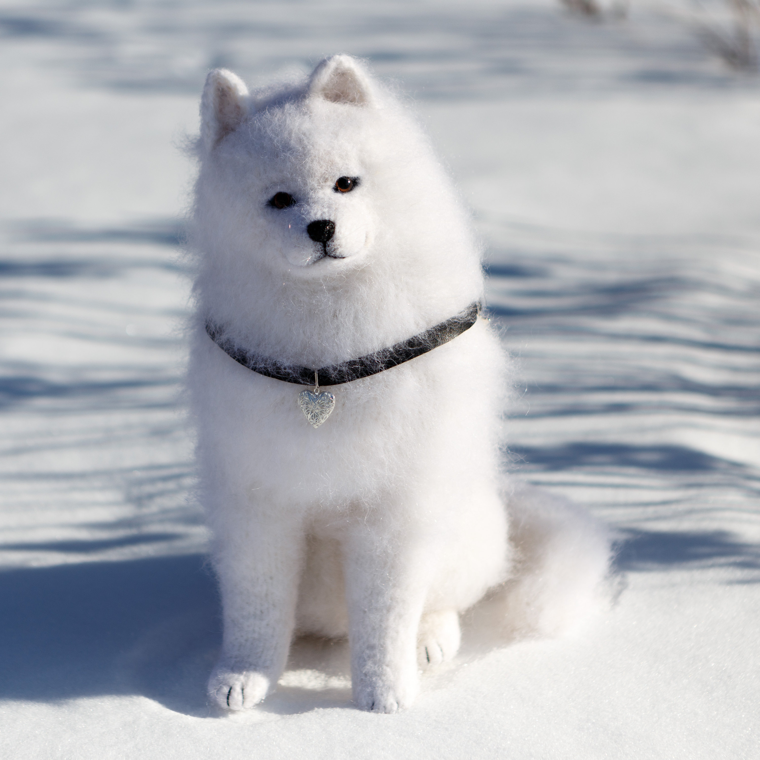 Real Size Dog Fluffy Knitted Samoyed Gift for Her White Cute Dog Gift ...