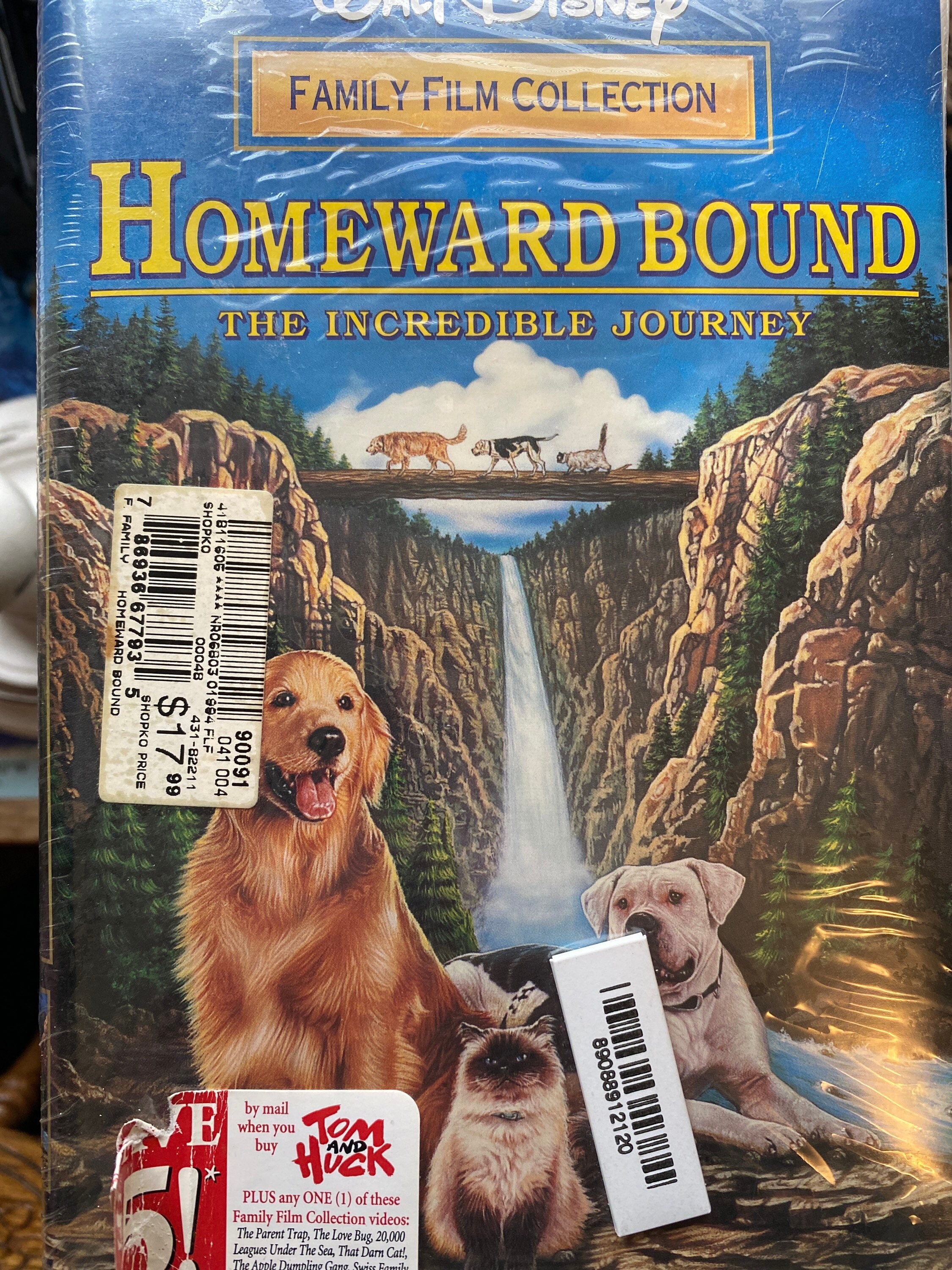 Homeward Bound Part 3