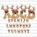 Deer Font PNG, Xmas Deer Font, Fawn Christmas Font Png, Doodle Fonts ...