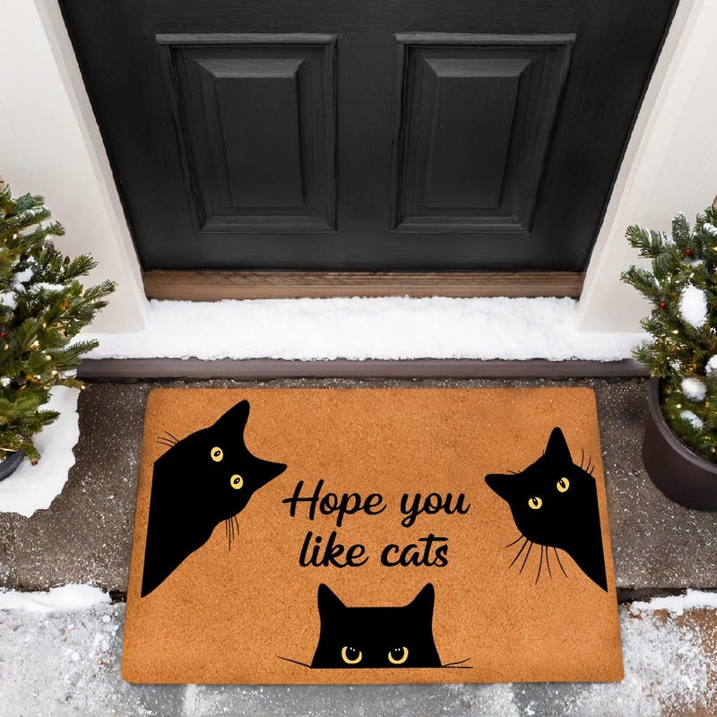 Cat Door Mats Outdoor - Etsy