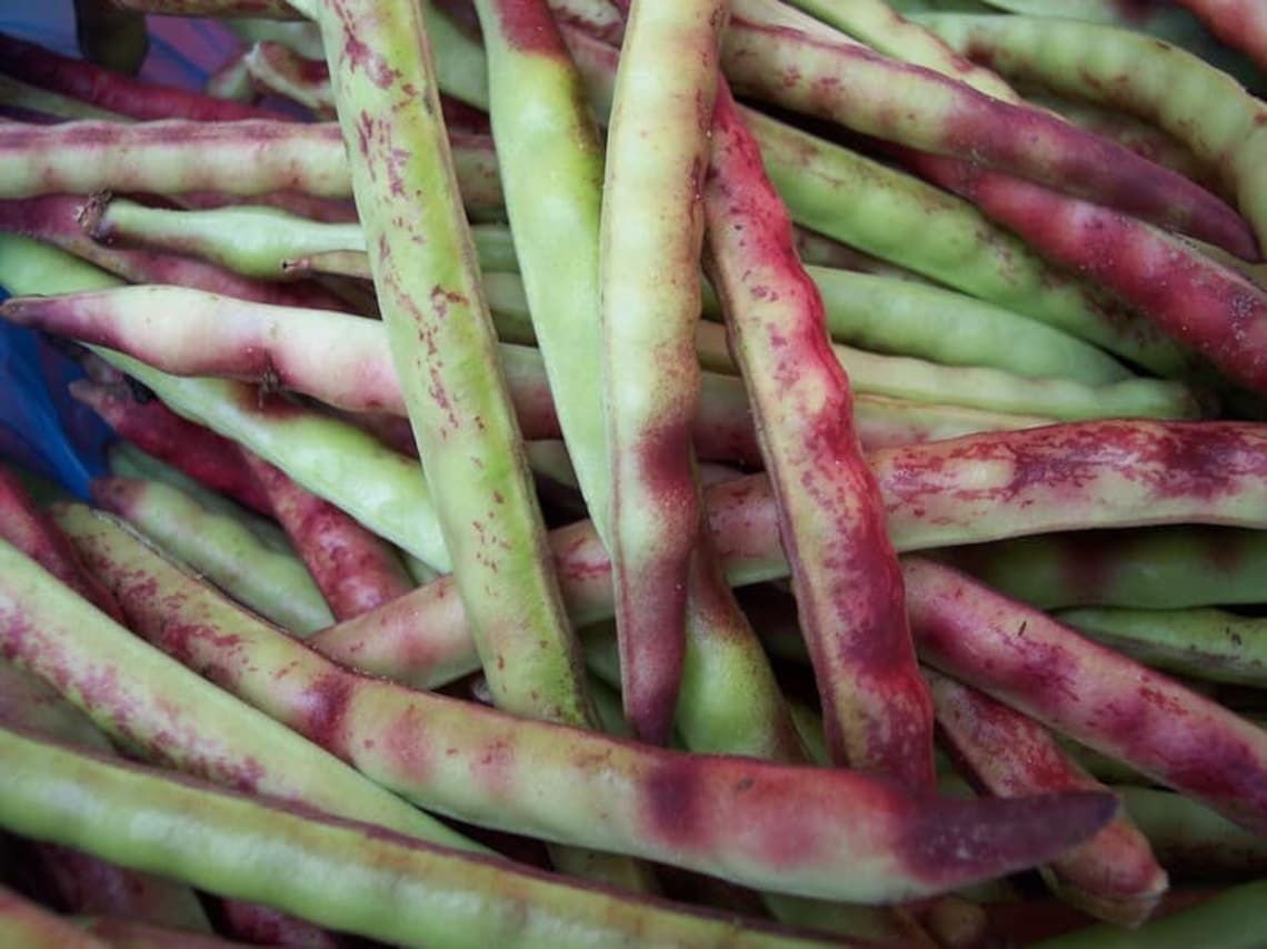 50 Red Ripper Southern Field Peas Cowpeas Seeds Organically Grown ...