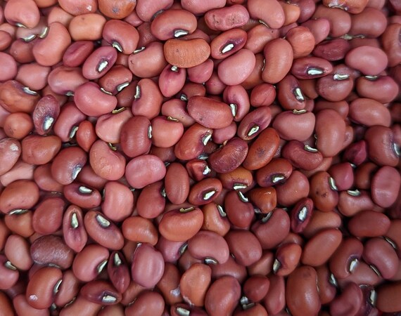 Red Pea Seed