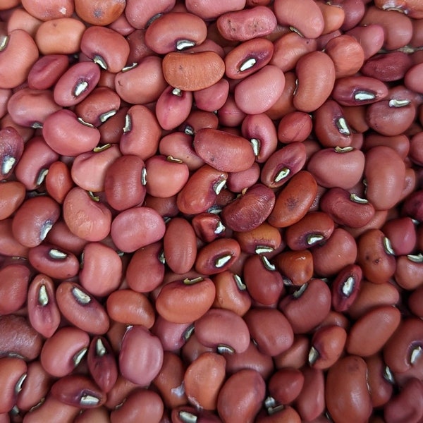 Seller Central - Etsy