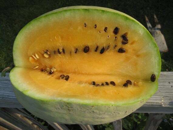 Desert King Yellow Watermelon