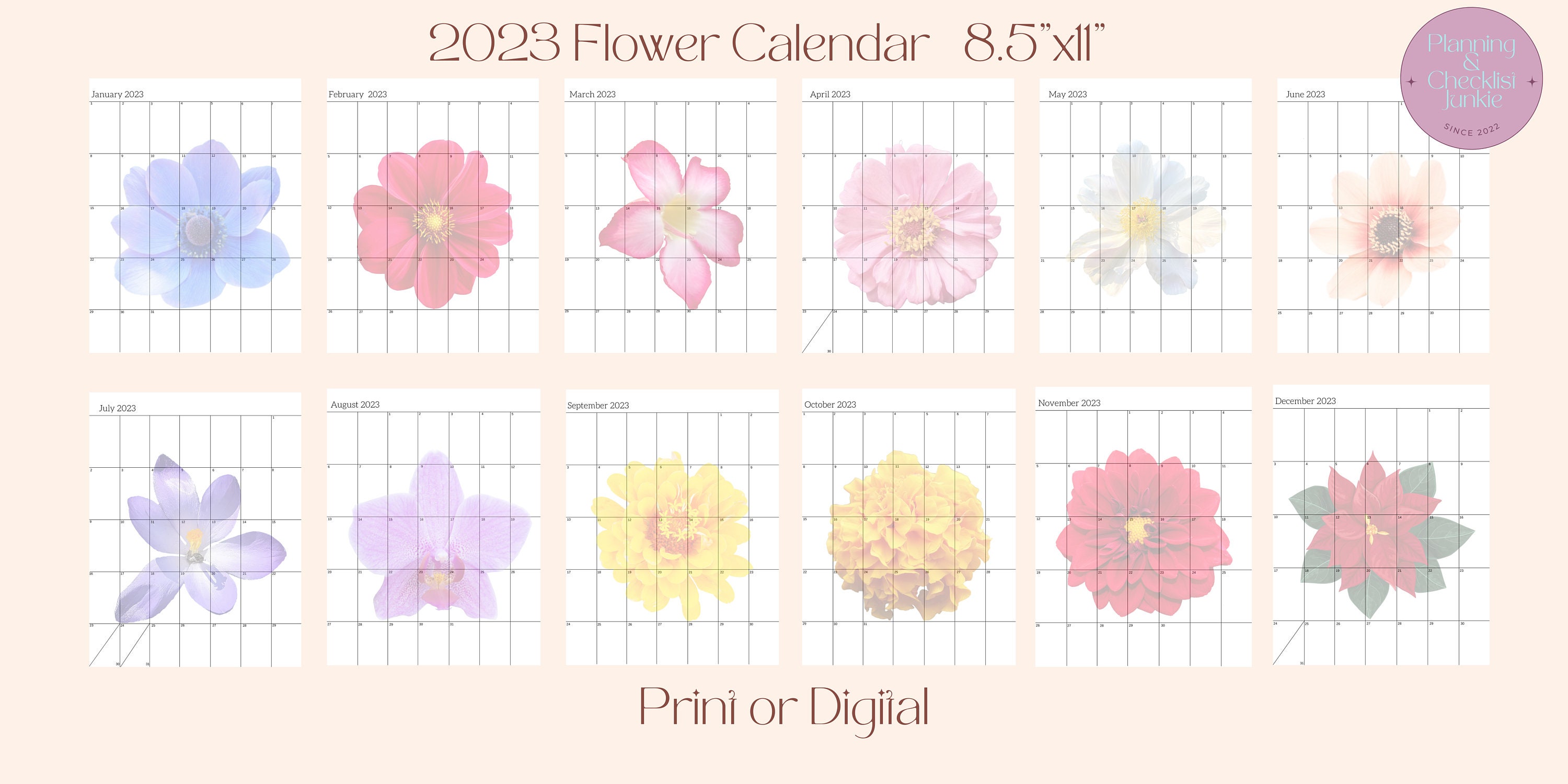2023 Calendar | Printable Calendar | Digital Calendar | Letter | Flower ...