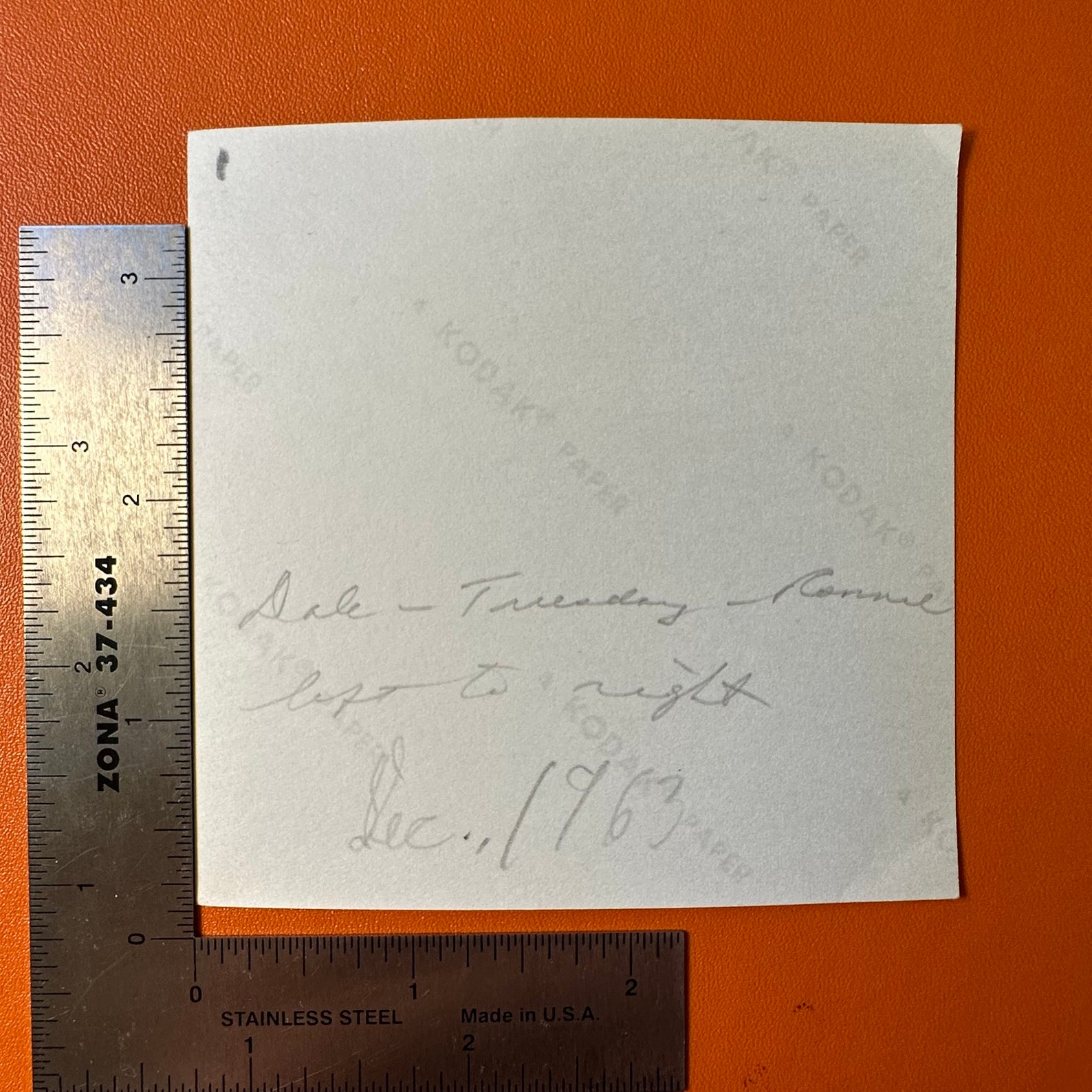 1950s Dog Peeking Over the Fence Vintage Photo Original Snapshot Found ...