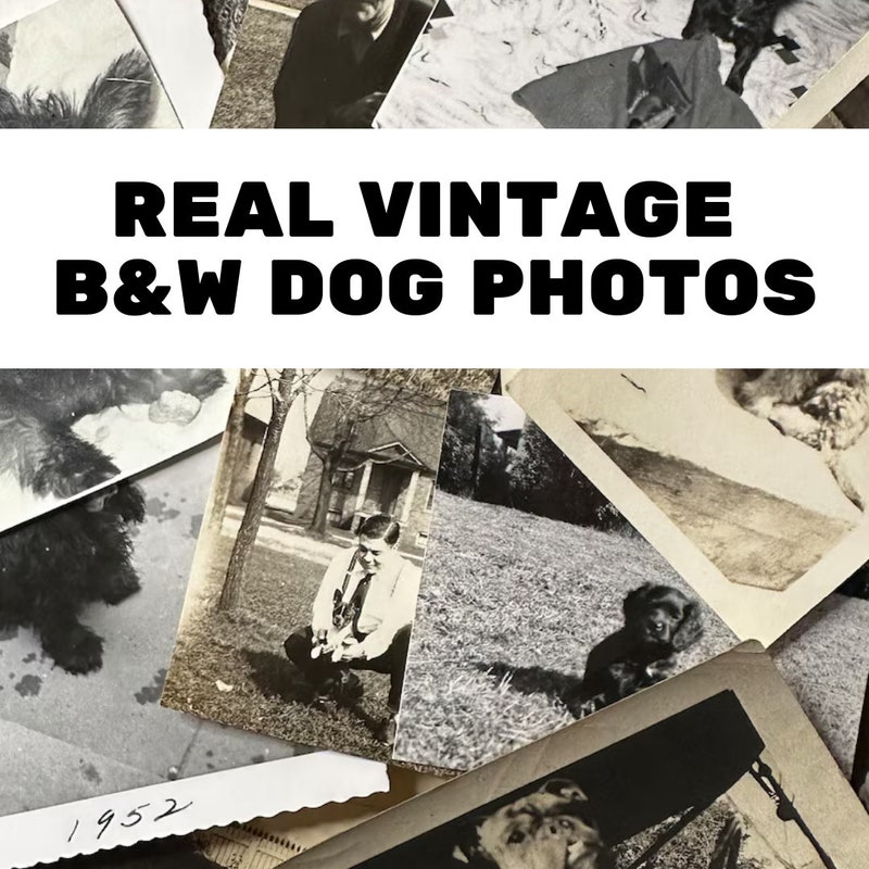 Dog Photo Old Snapshot - Etsy