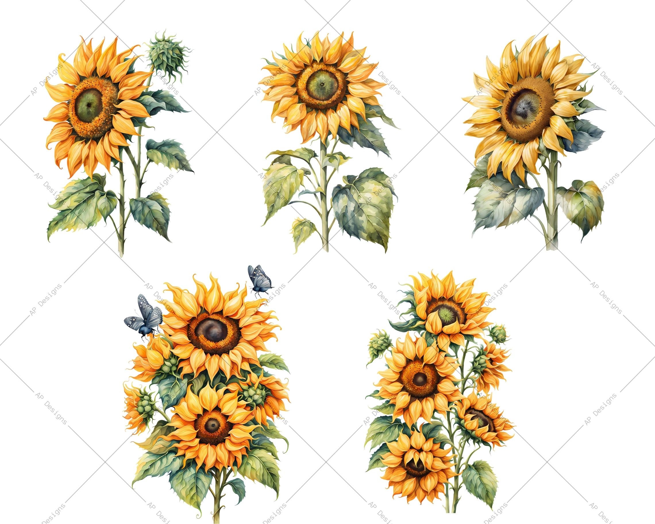 Watercolor Sunflower Clipart, Sunflower Sublimation Pngs, Yellow ...