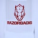 Arkansas Razorbacks Beer Glass, Custom Hand-etched 16oz - Etsy
