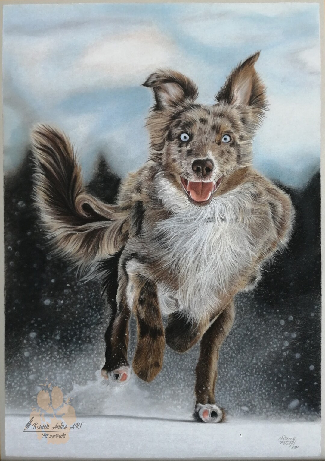 Australian Shepherd Drawing Original Hand Drawing Pet Portrait Animal ...