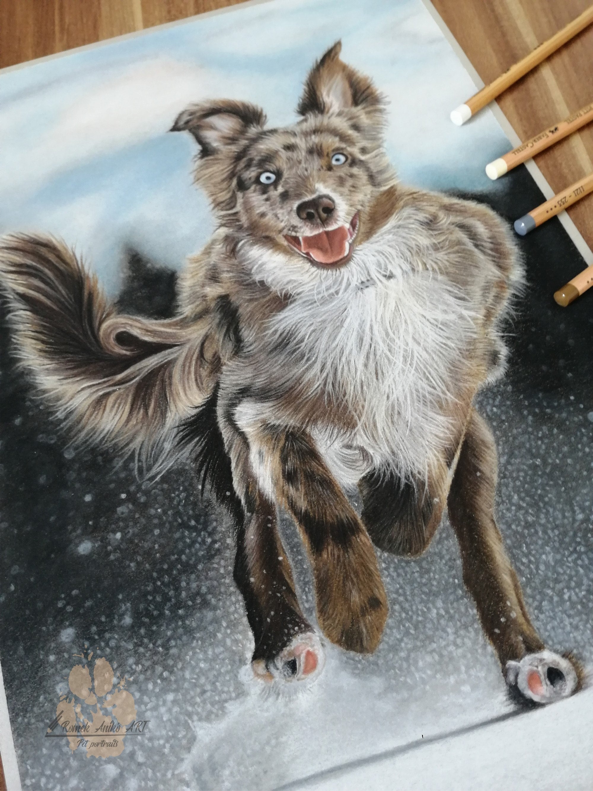 Australian Shepherd Drawing Original Hand Drawing Pet Portrait Animal ...