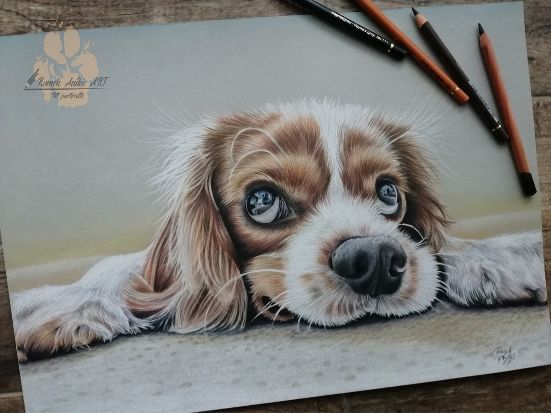 Cute Dog Pencil Drawing Original Hand Drawing Pet Portrait Animal ...