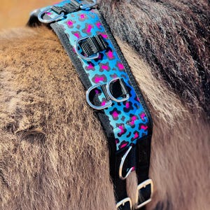 Miniature Horse-pony Ground Driving Surcingle/reins Set - Etsy