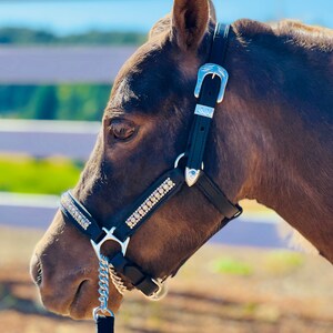 Rhinestone Leather Show Halter & Lead Set - Etsy