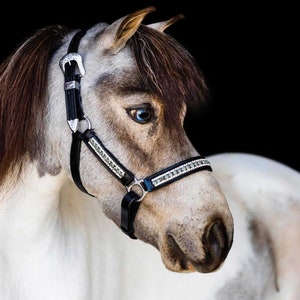 Rhinestone Leather Show Halter & Lead Set - Etsy