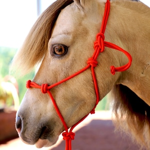 Miniature Horse-pony 4 Knot Rope Training Halter - (XXS Weanling to XL Pony) - Etsy