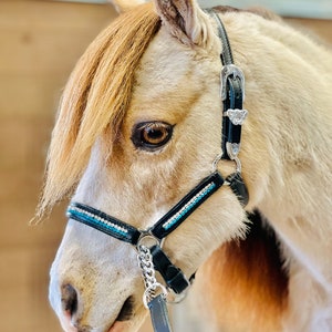 Rhinestone Leather Show Halter & Lead Set - Etsy