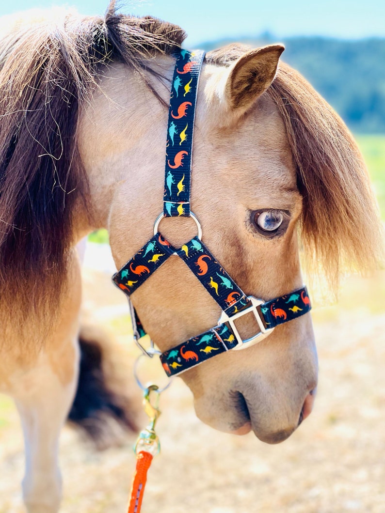 Printed Miniature Horse Halter: Colorful Webbing, Adjustable Stable ...