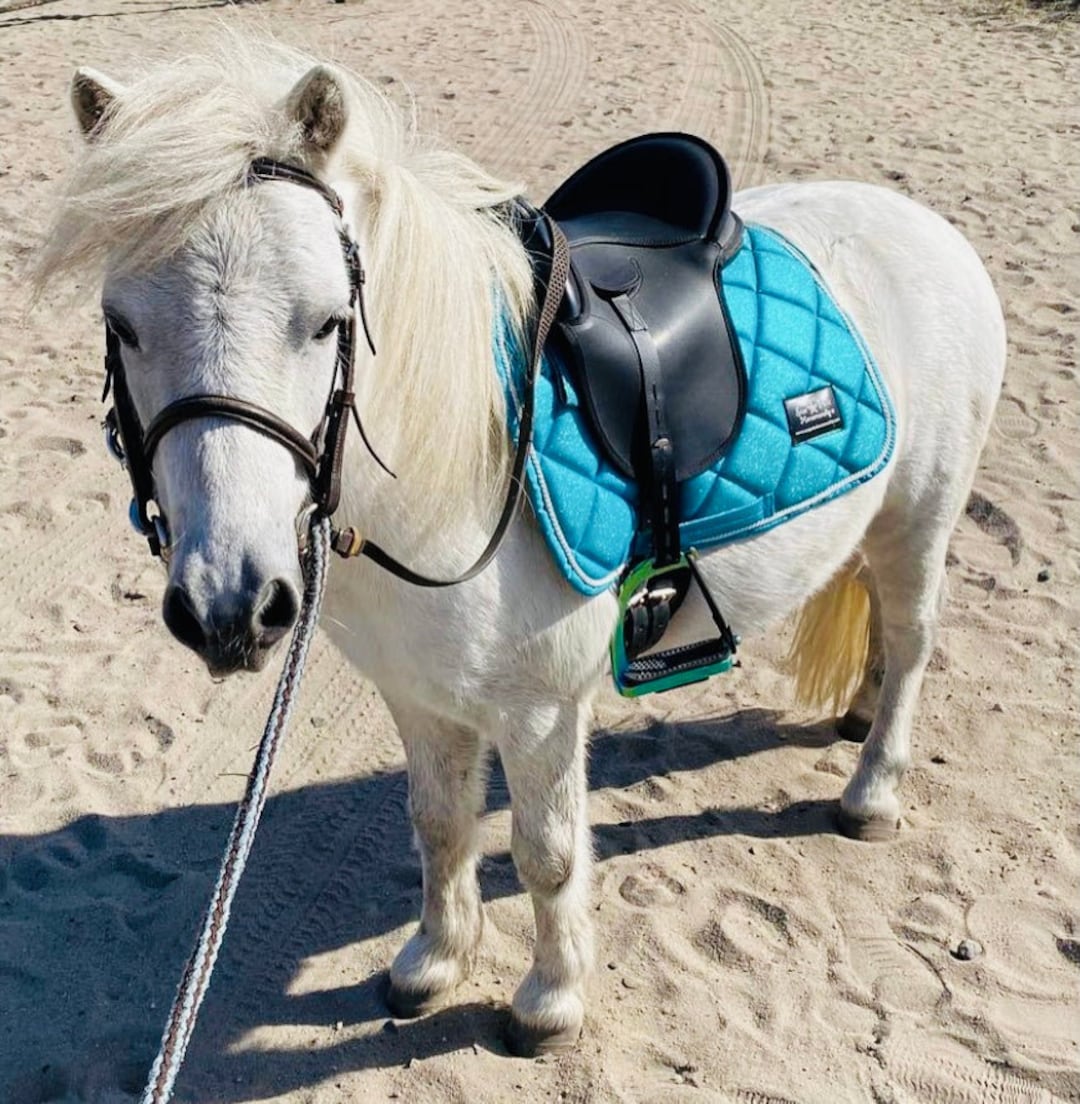 English/surcingle Saddle Pad - Mini to Horse Size - Etsy
