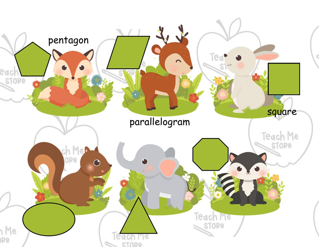 Animal Shapes | Busy Book Page | Preschool Activity - Etsy Australia