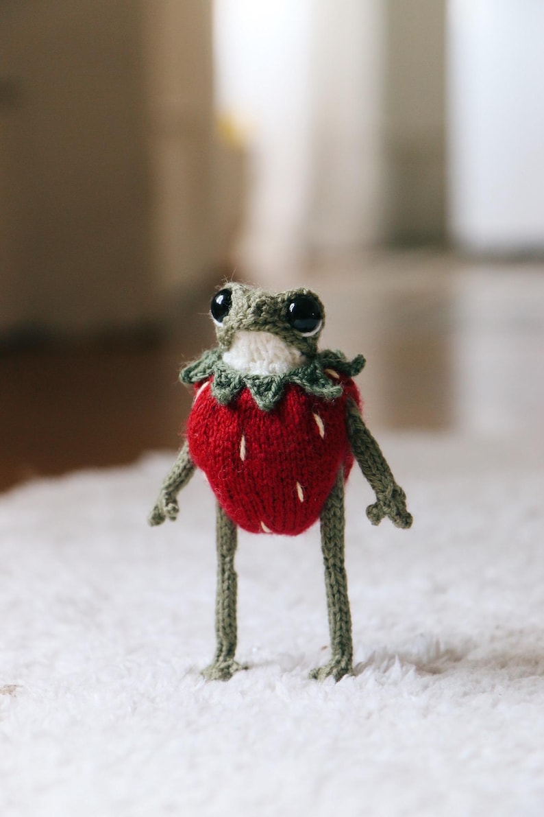 DIGITAL PATTERN Frog Strawberry Outfit Knitting Pattern for Frog (5 ...