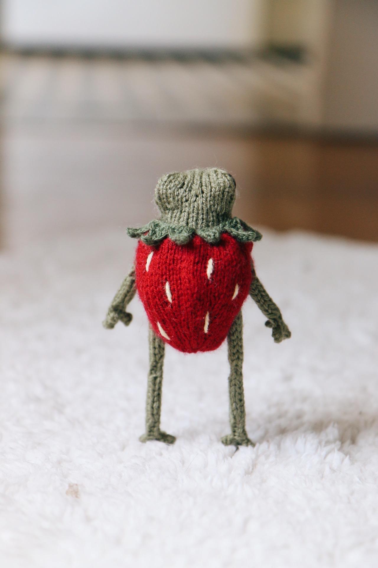 DIGITAL PATTERN Frog Strawberry Outfit Knitting Pattern for Frog (5 ...