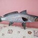 Wood Carved Fish Figure. Wooden Carved Fish. Hunted Fish Sculpture ...