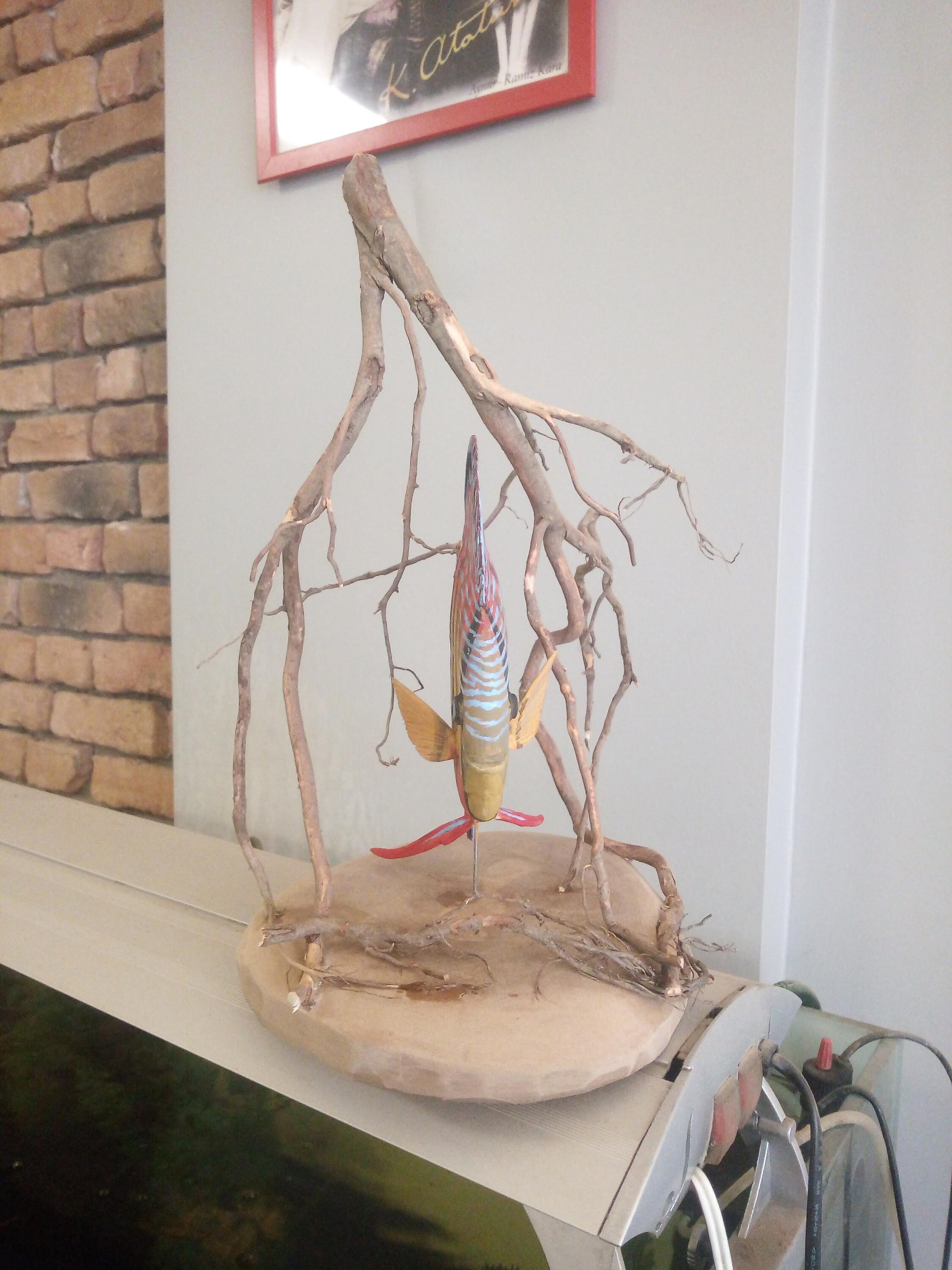 Wood Carved Discus Fish. Wooden Fish. Fish Carving. Live Size. Discus ...