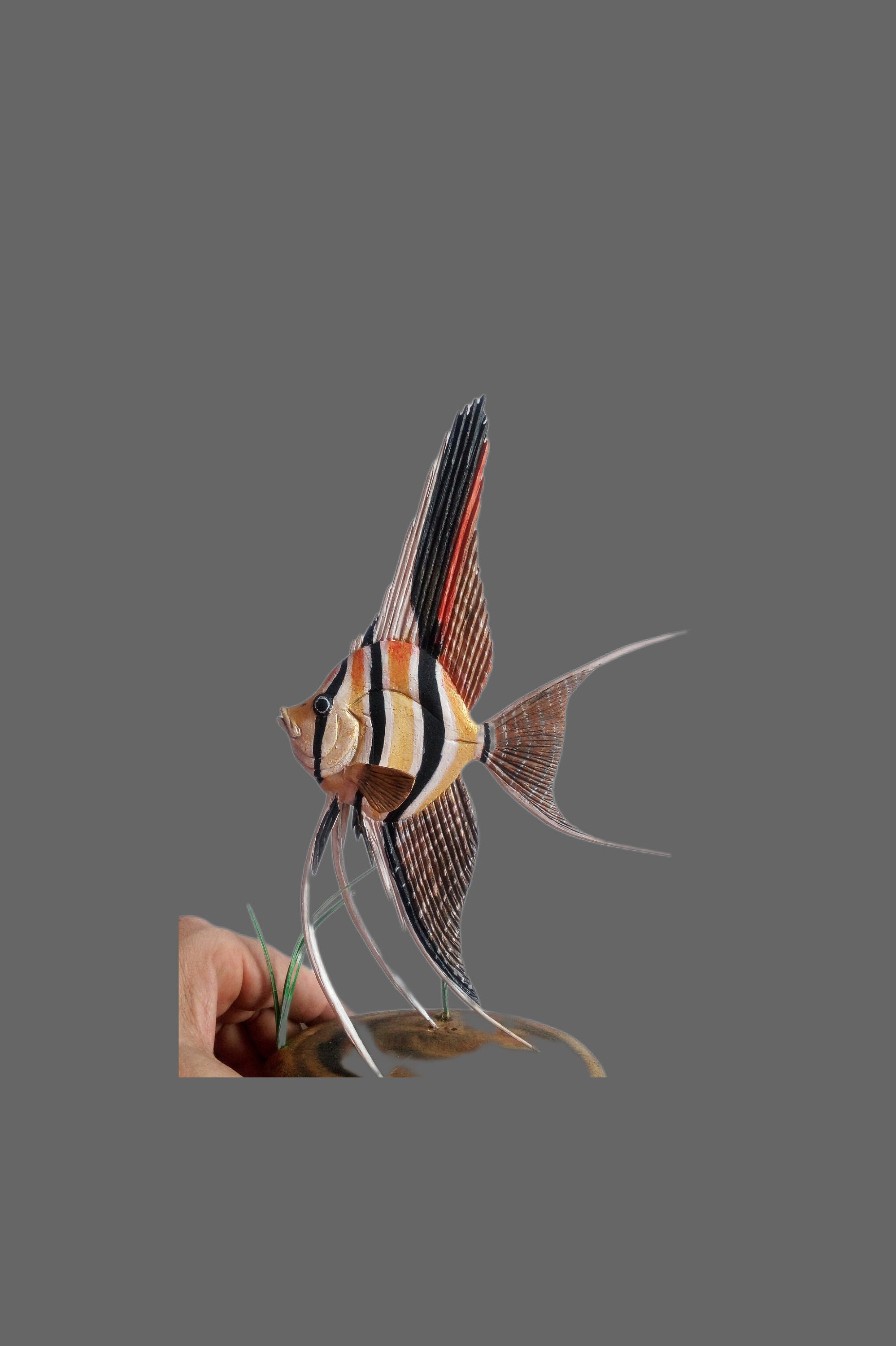 Altum Angelfish. Wooden Angelfish. Hand Carved Fish. Wooden Fish ...