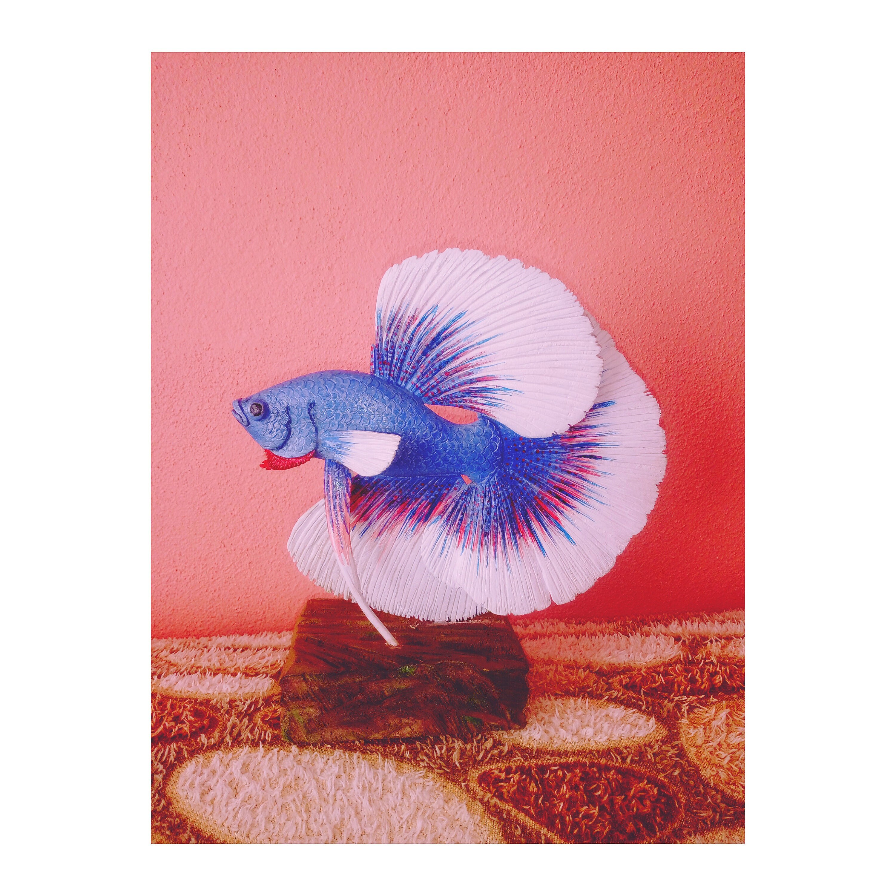 Wood Carved Betta Fish. Halfmoon Betta. Hand Carved Betta Sculpture ...
