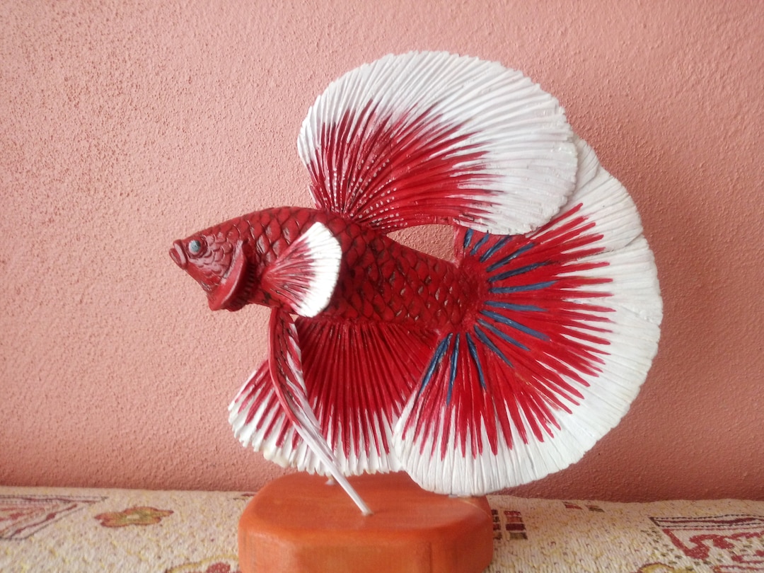 Wood Carved Betta Fish. Halfmoon Red Betta. Hand Carved Betta Sculpture ...
