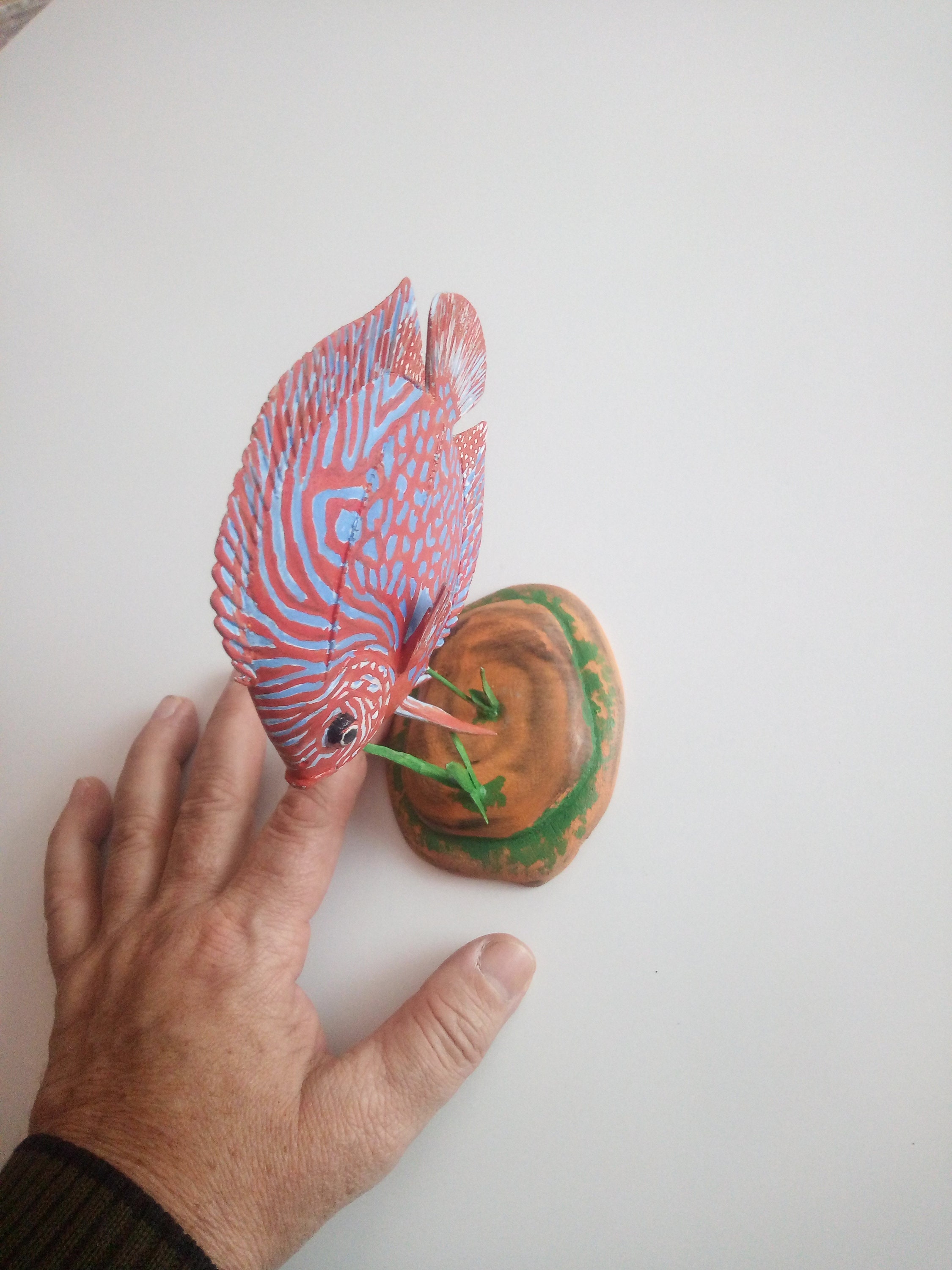 Wooden Hand-carved Blue-red Discus Fish. Wooden Carved Fish. Hand ...