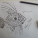 Hand Carved Wooden John Dory Fish. Saint Peter Fish. Fish - Etsy