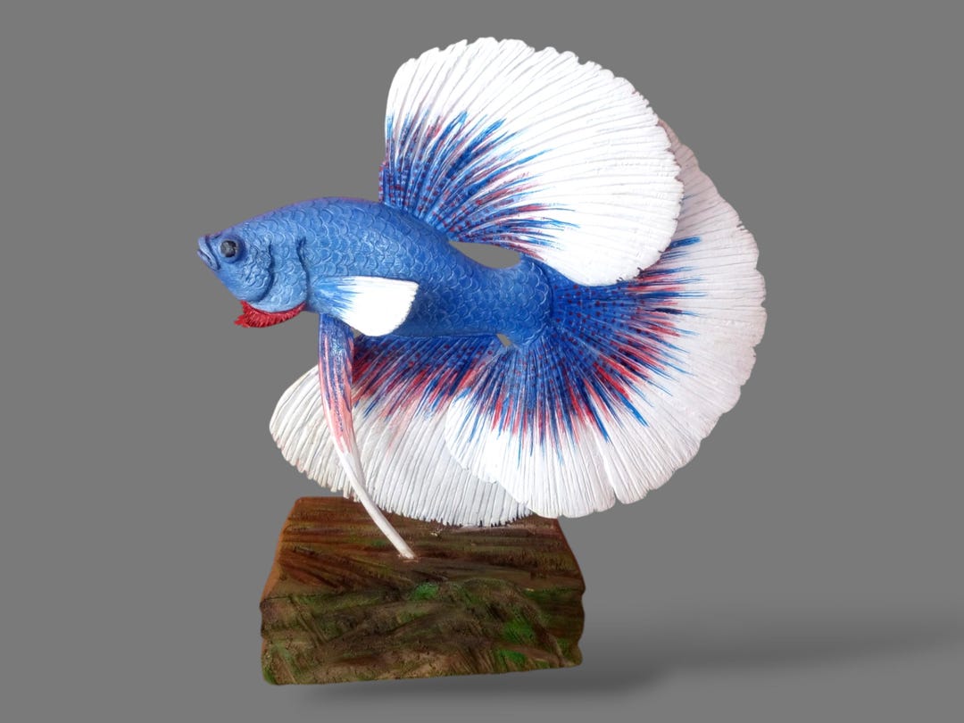 Betta Fish, Hand Carved Linden Wood Fish Sculpture: Halfmoon Acrylic ...