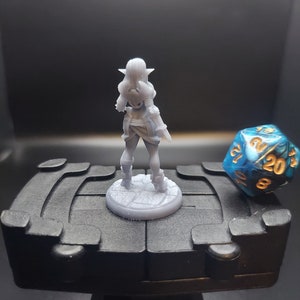 Female Elf Rogue Assassin Miniature for Dungeons and Dragons Dnd ...