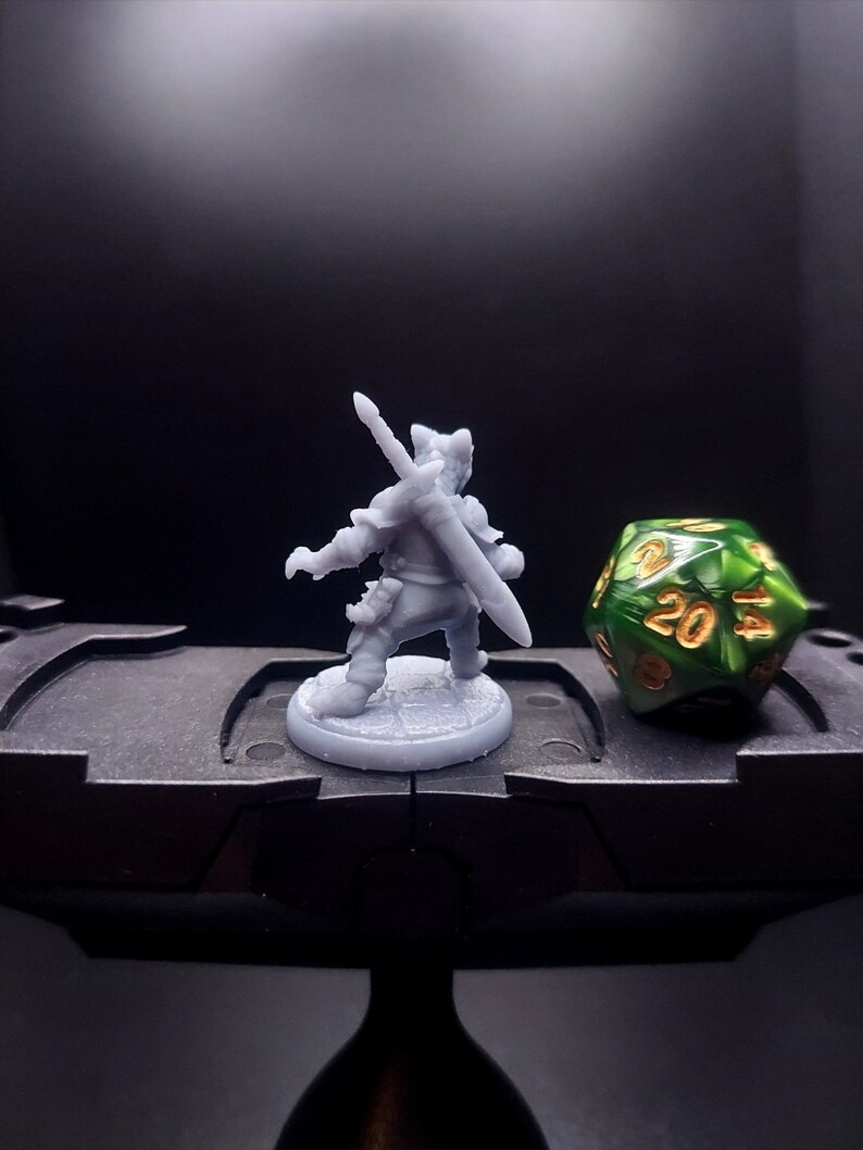 Dragonborn Miniature for Dungeons and Dragons Fighter - Etsy