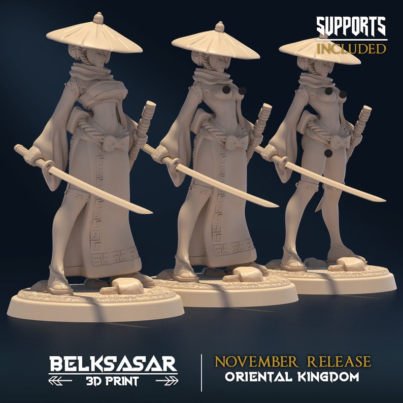 Female Samurai Ronin Miniature for Dungeons and Dragons | Moonshine ...