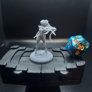 Female Dark Elf Assassin Miniature Pin Up - Etsy