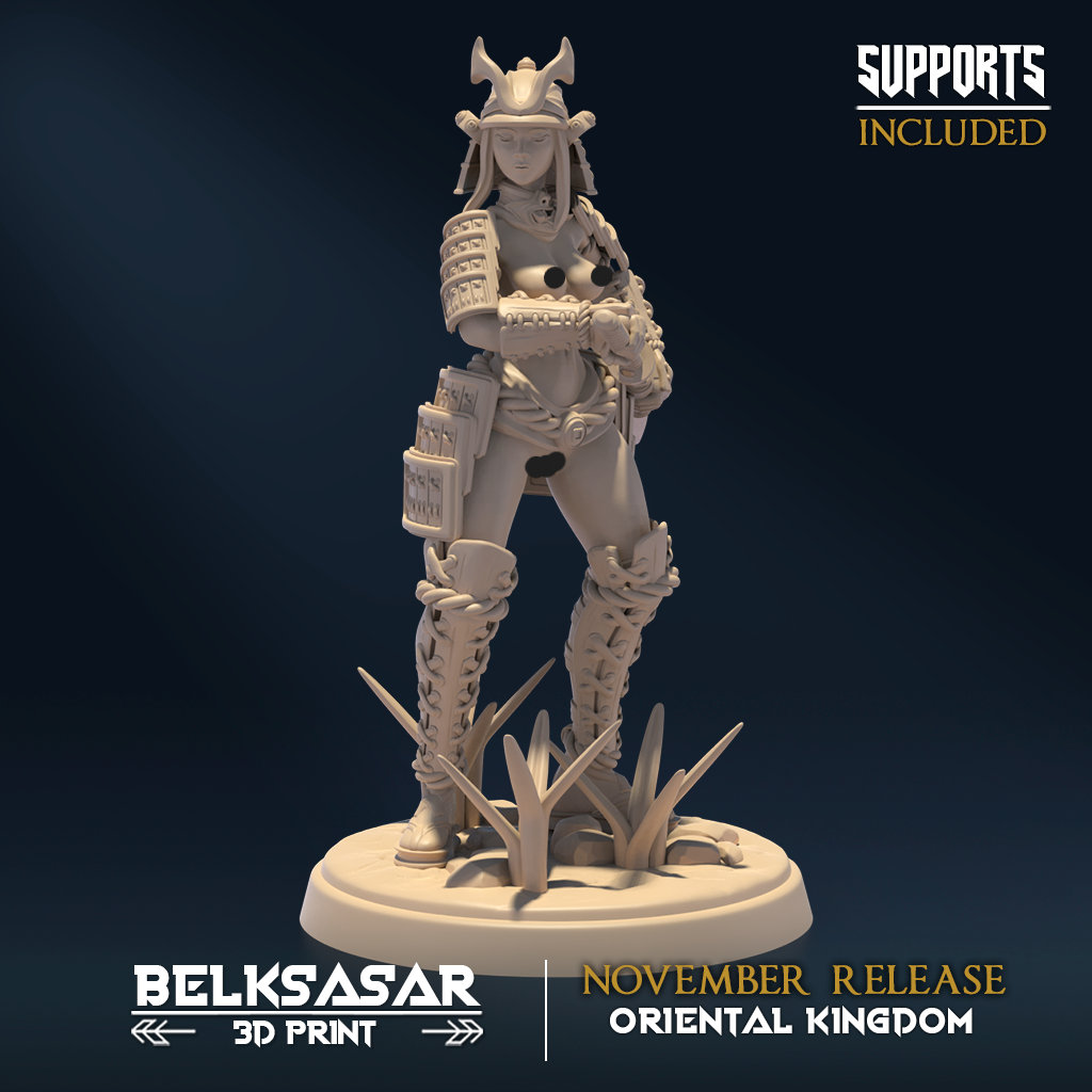 Samurai Miniature for Dungeons and Dragons Moonshine Samurai C Female ...