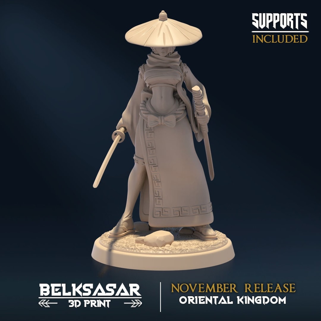 Female Samurai Ronin Miniature for Dungeons and Dragons | Moonshine ...