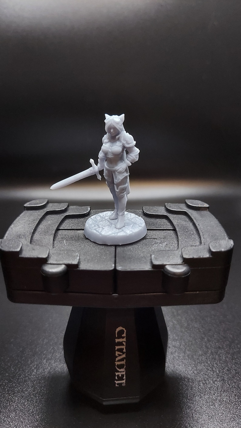 Female Miniature Cat Girl Miniature for Dungeons and Dragons - Etsy