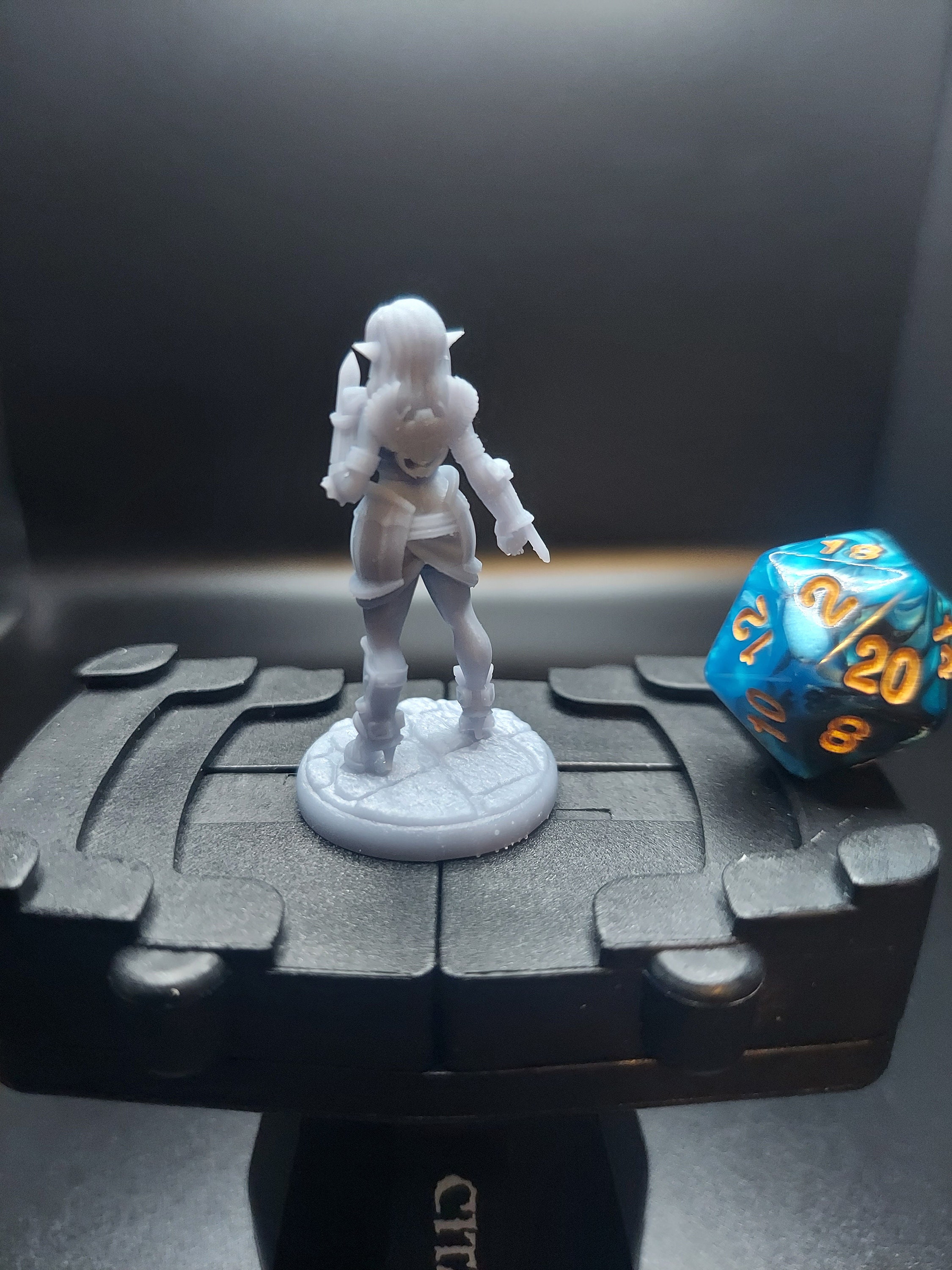 Female Elf Rogue Assassin Miniature for Dungeons and Dragons Dnd ...