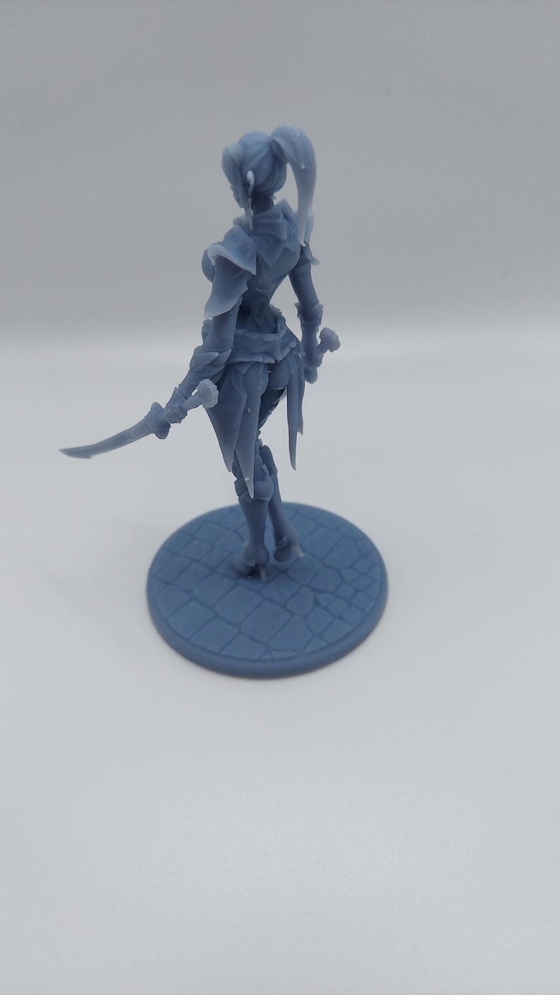 Female Dark Elf Fighter Assassin Miniature for Dungeons and - Etsy