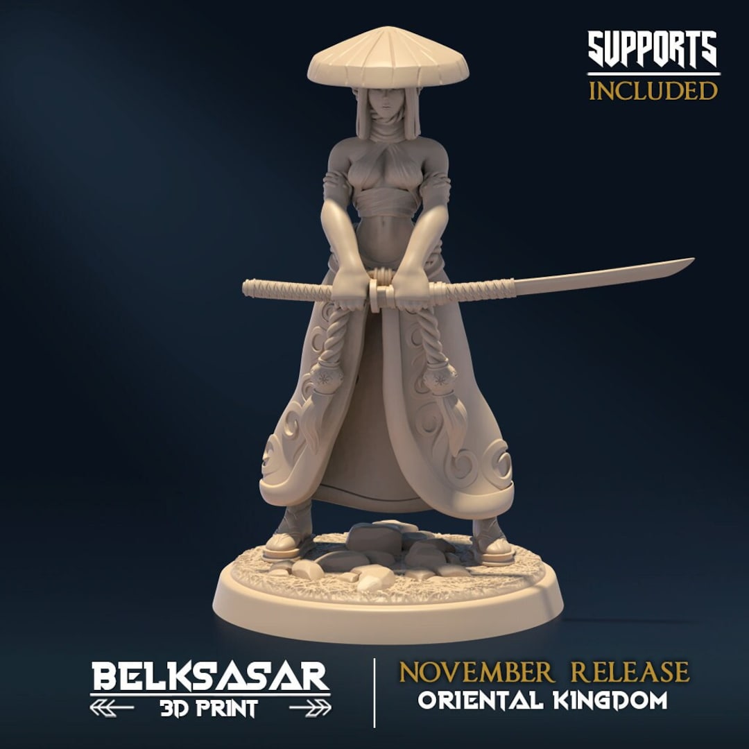 Female Samurai Ronin Miniature for Dungeons and Dragons | Moonshine ...