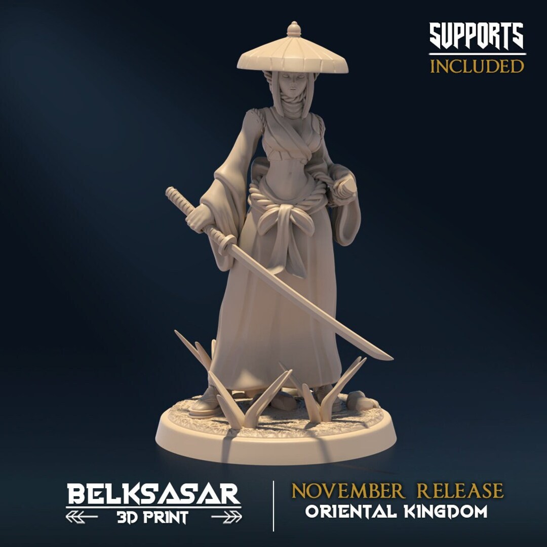 Female Samurai Ronin Miniature for Dungeons and Dragons | Moonshine Ronin A | Female Ninja ...
