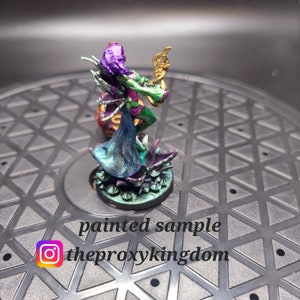 Female Fairy Bard Dungeons and Dragons Dnd Female Druid Enchantress ...