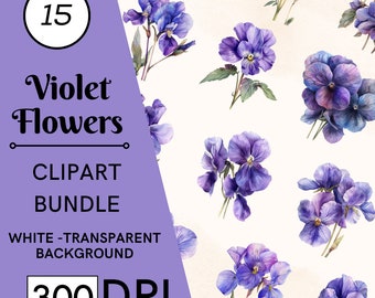 Violets Clipart, February Birth Flower Clipart, Jpgs, Digital Download ...