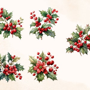 15 Watercolor Holly Berries Clipart, PNG Floral Illustrations ...