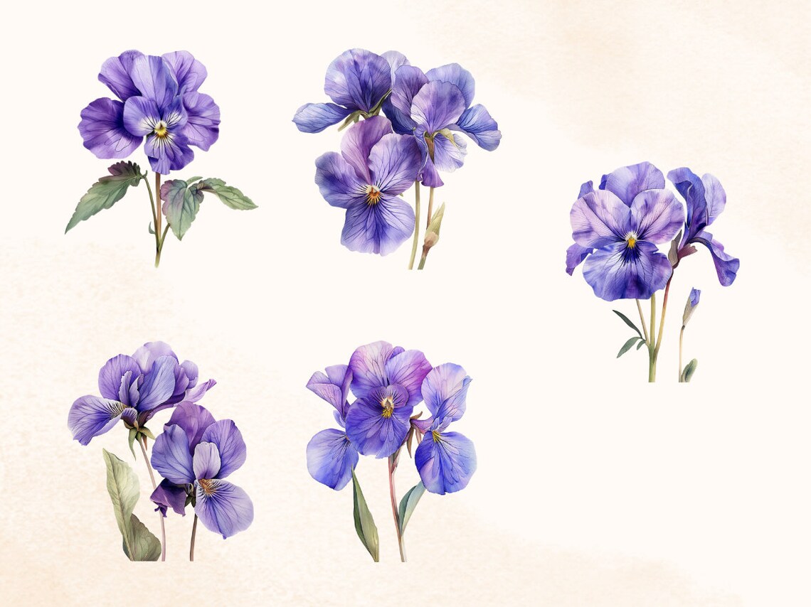15 Violets Clipart, February Birth Flower Clipart, Jpgs, Digital ...